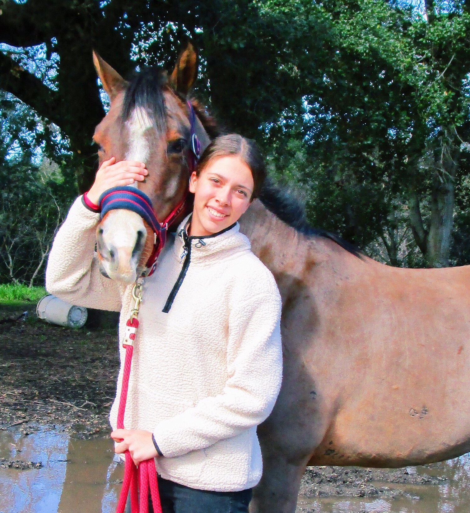 Horse & Human Product Review|| A 2018 Addition – Grey2Bay