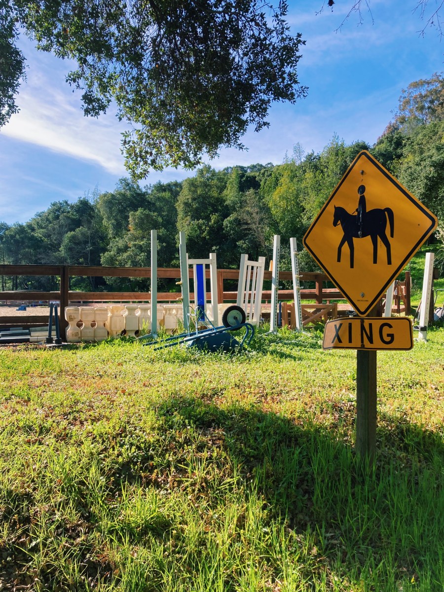 Wunderlich Park || 2022 – Grey2Bay