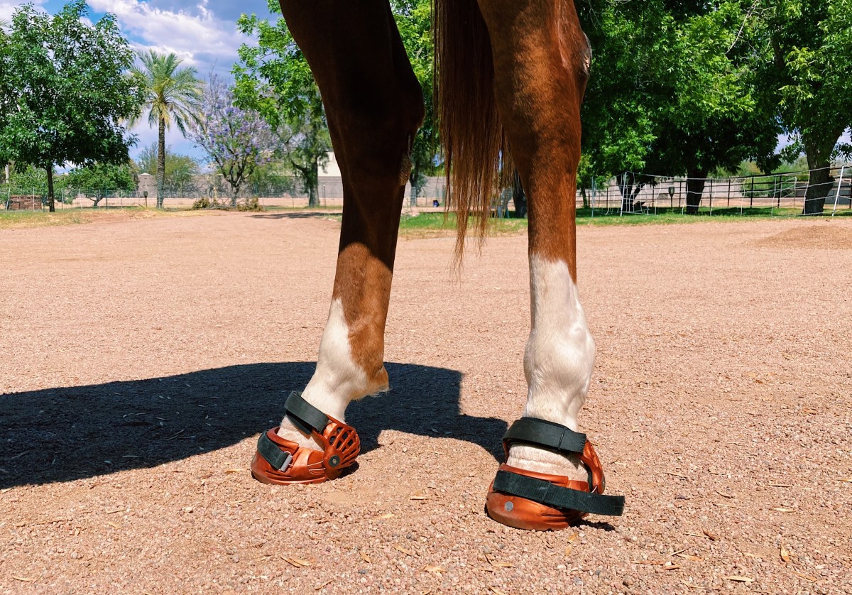 Renegade Hoof Boots || 2023 – Grey2Bay