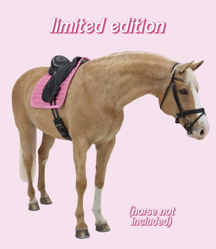 Equipad Malibu Pink || 2023 – Grey2Bay